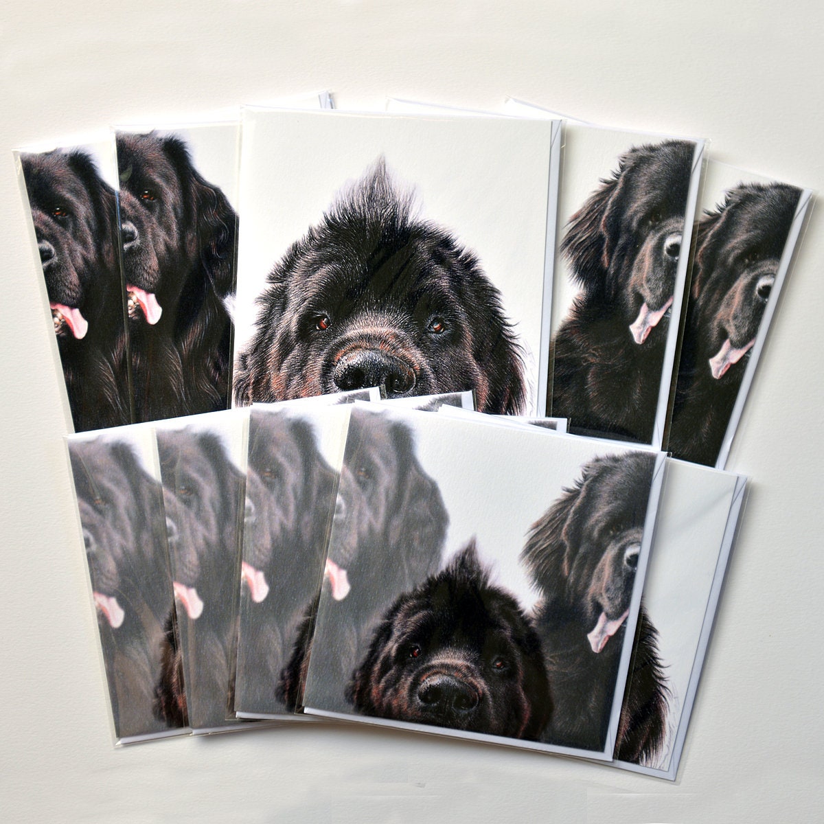 Pack of 10 Newfoundland Dog Cards "the Girls" Pack of 10 Mixed Cards ...