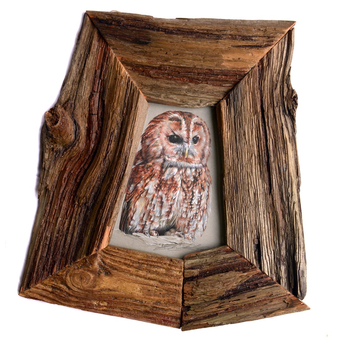 Tawny Owl Original Framed in Hand Made Wood Frame - Etsy