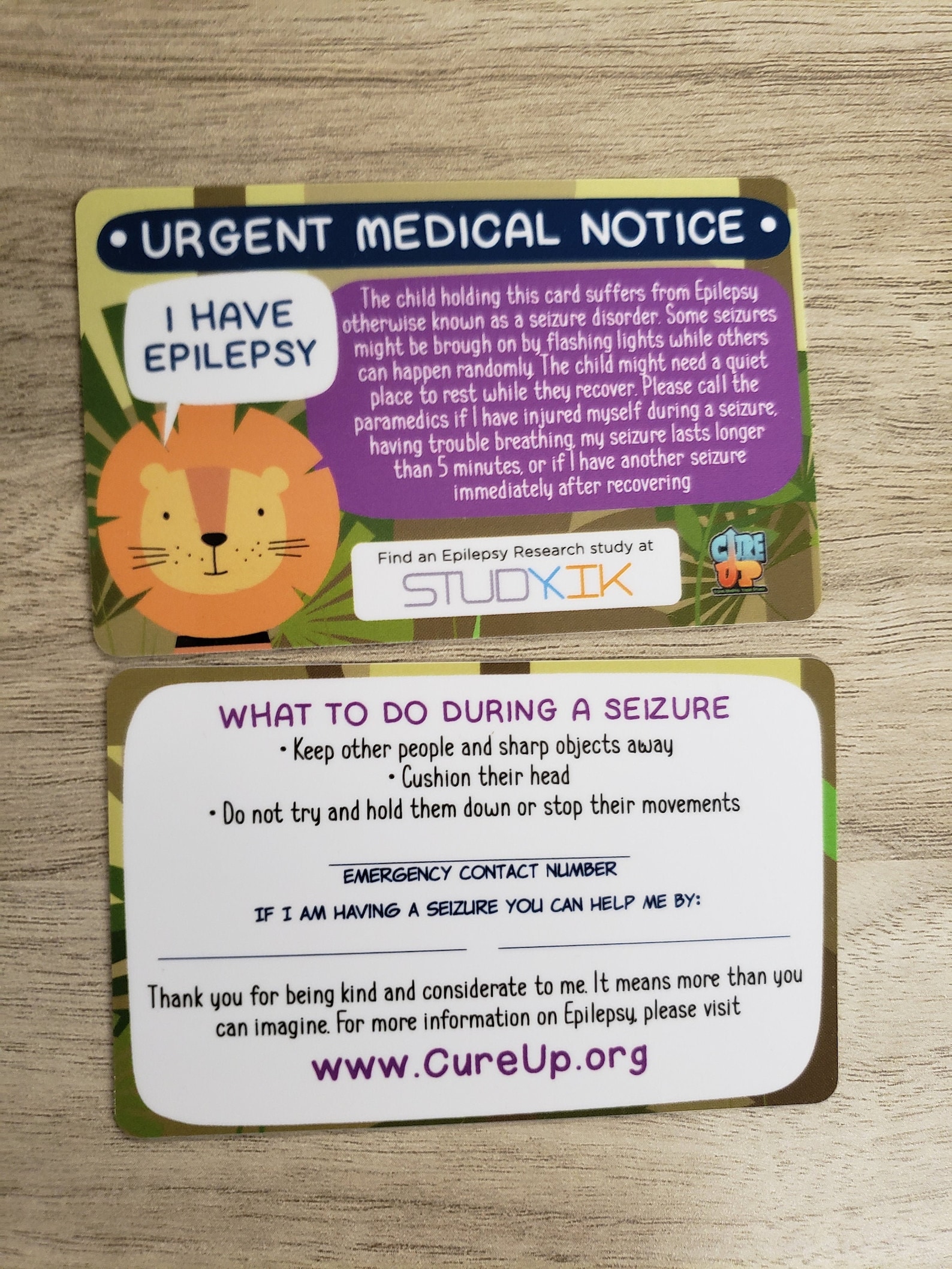 Child Epilepsy Card Child Epilepsy Emergency Card Child - Etsy UK