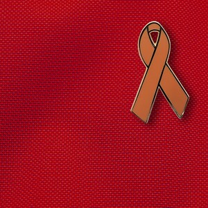 Appendix Cancer Awareness Ribbon Pin - Amber - Etsy