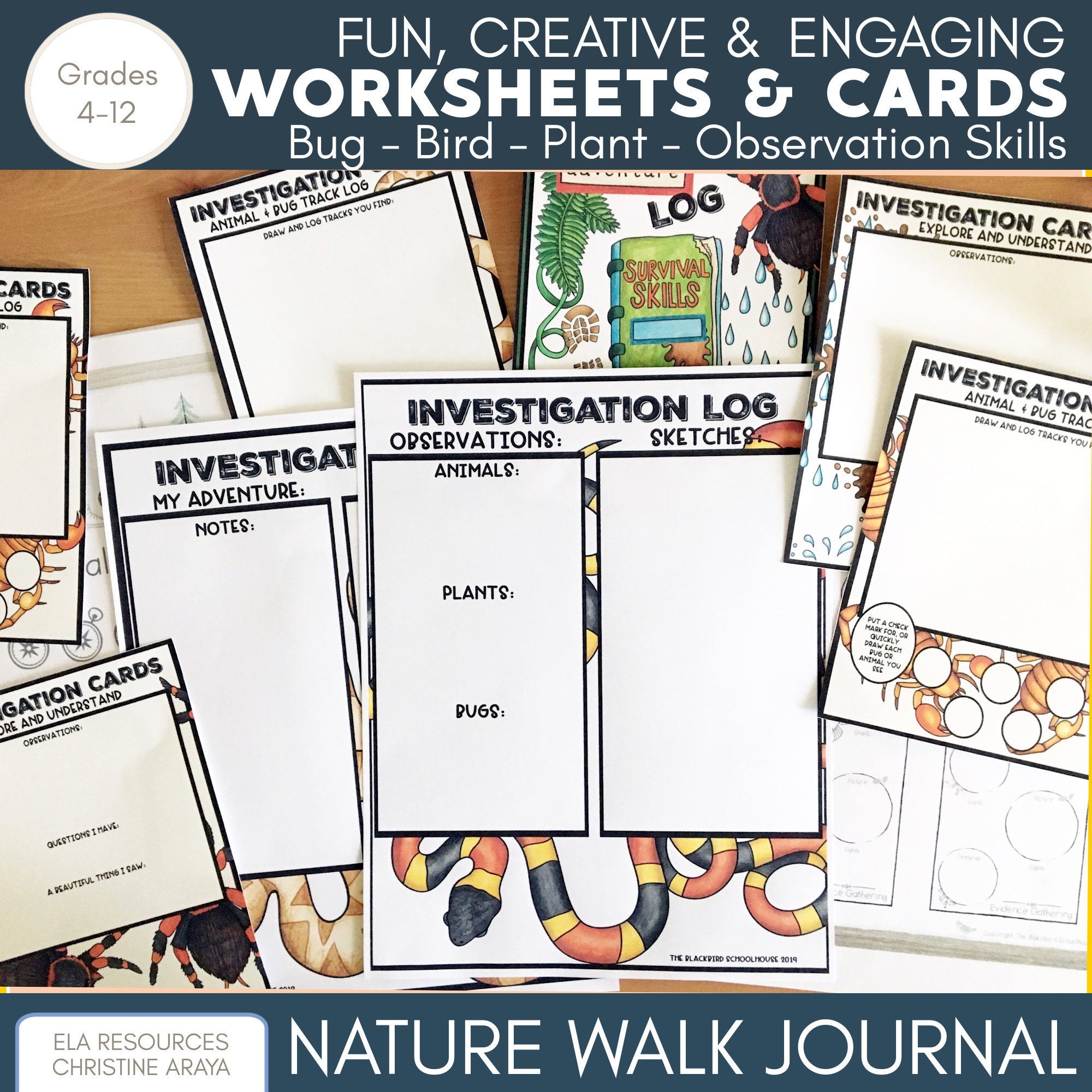 Nature Walk Logs & Writing Activities: Science, Animals, Printables ...