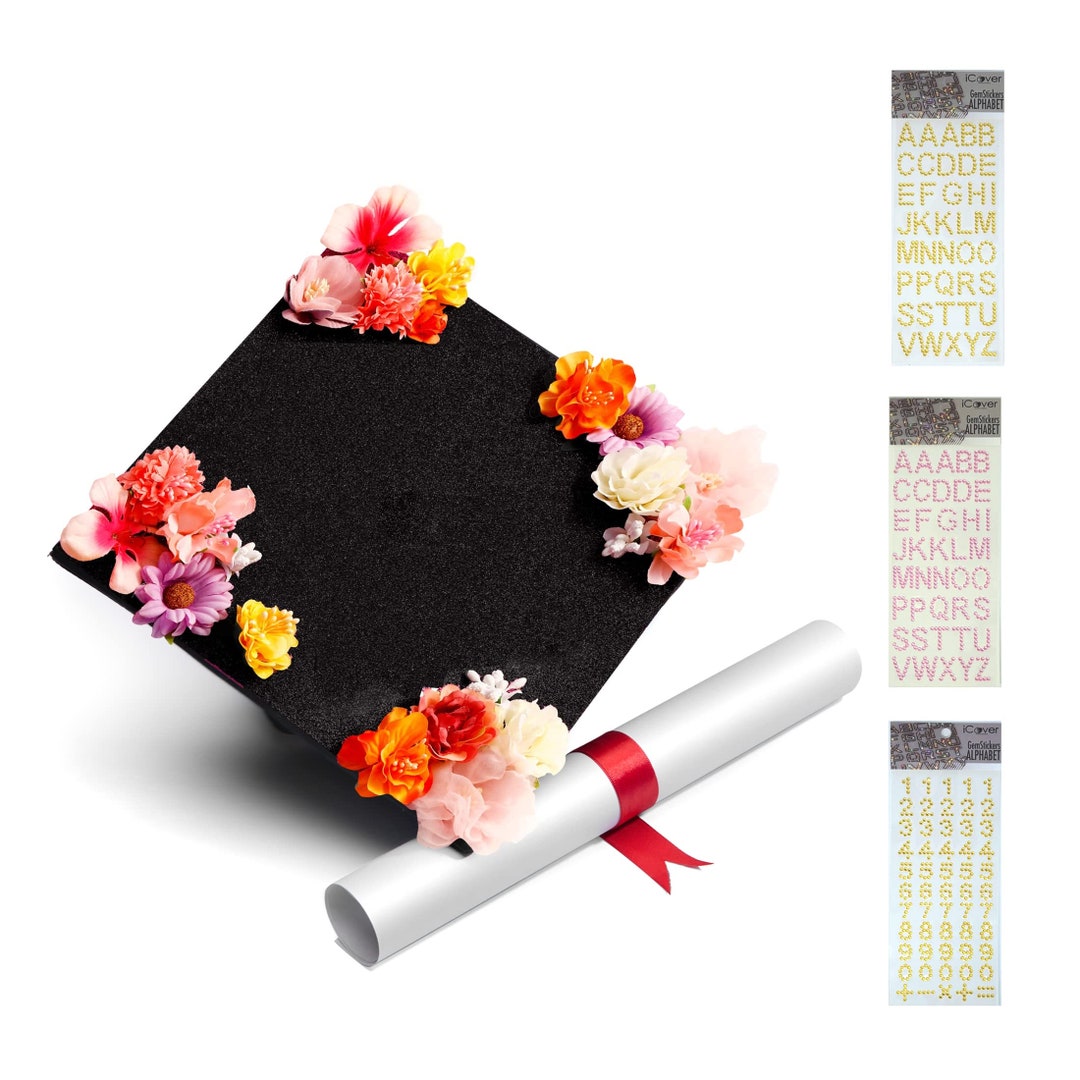 Handmade Graduation Cap Decoration, College, University, Graduate, High ...