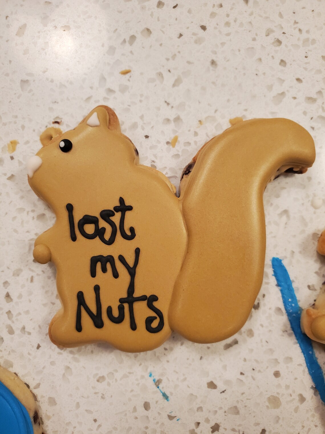 Vasectomy Cookies Funny Gift for Him No Nuts Edible Gift - Etsy