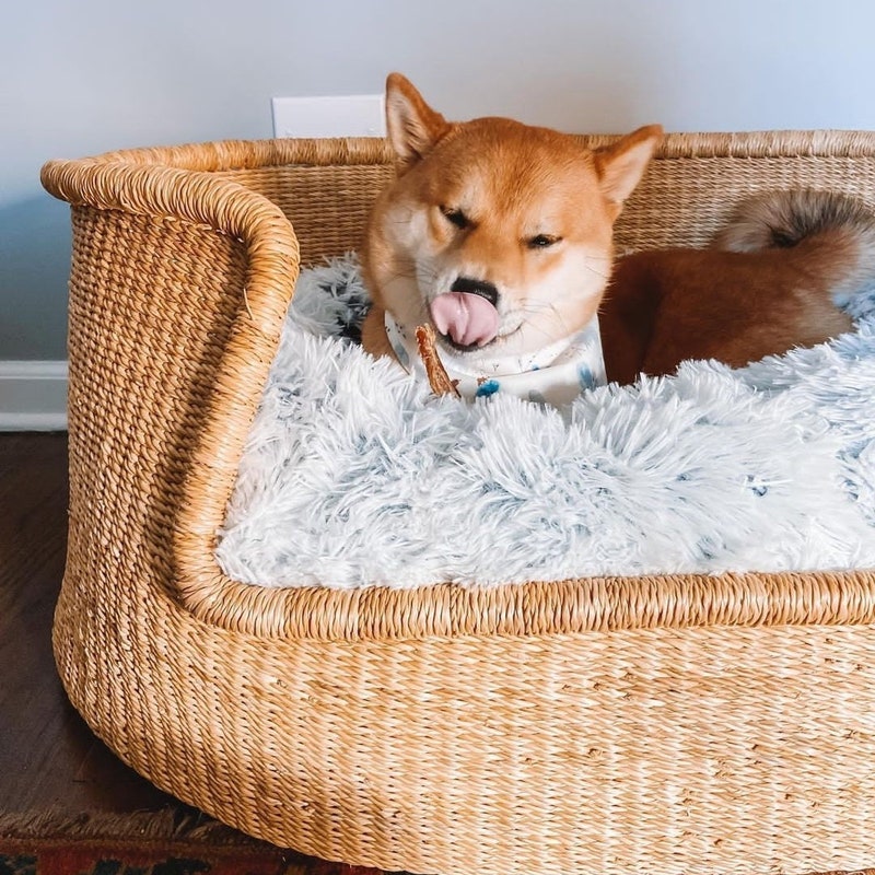 Custom Dog Beds - Etsy