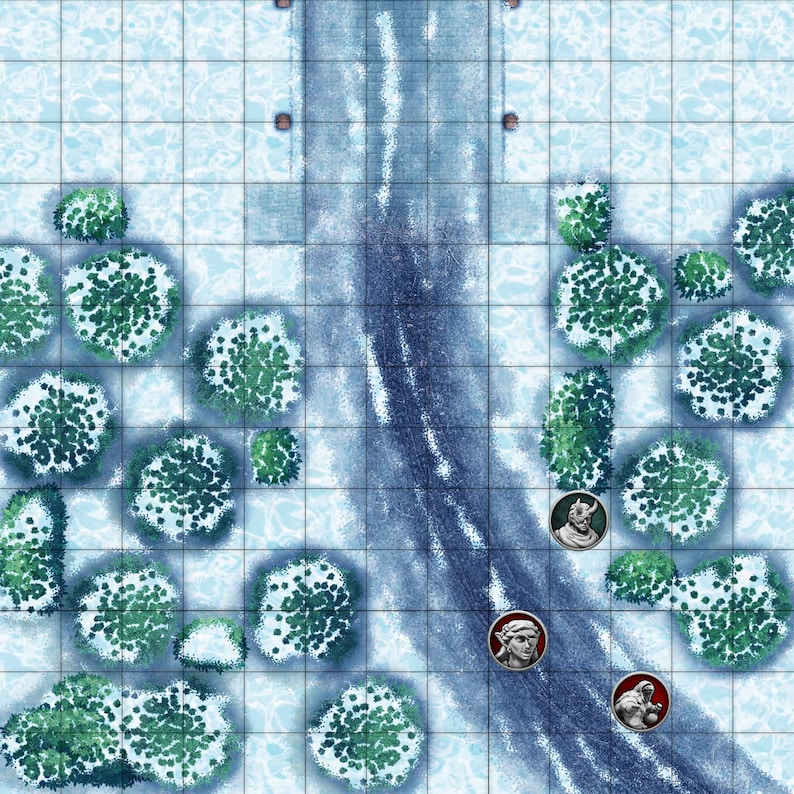 Dnd Roll20 Encounter Map Winter Wilderness Bridge - Etsy