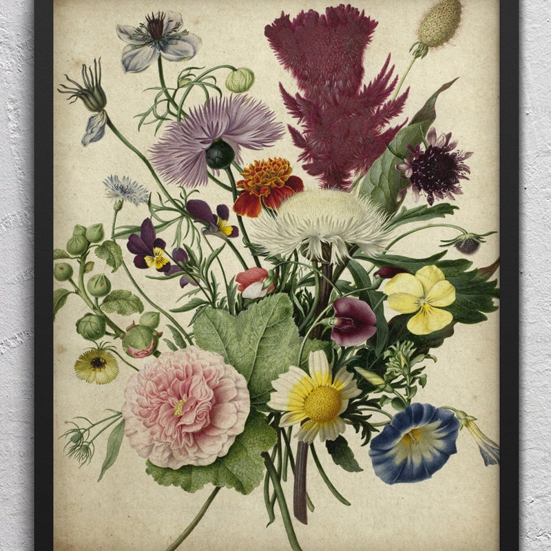 Botanical Art - Etsy