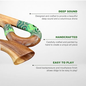 Snake Didgeridoo Instrument , Travel Didgeridoo Small Australian Bali ...
