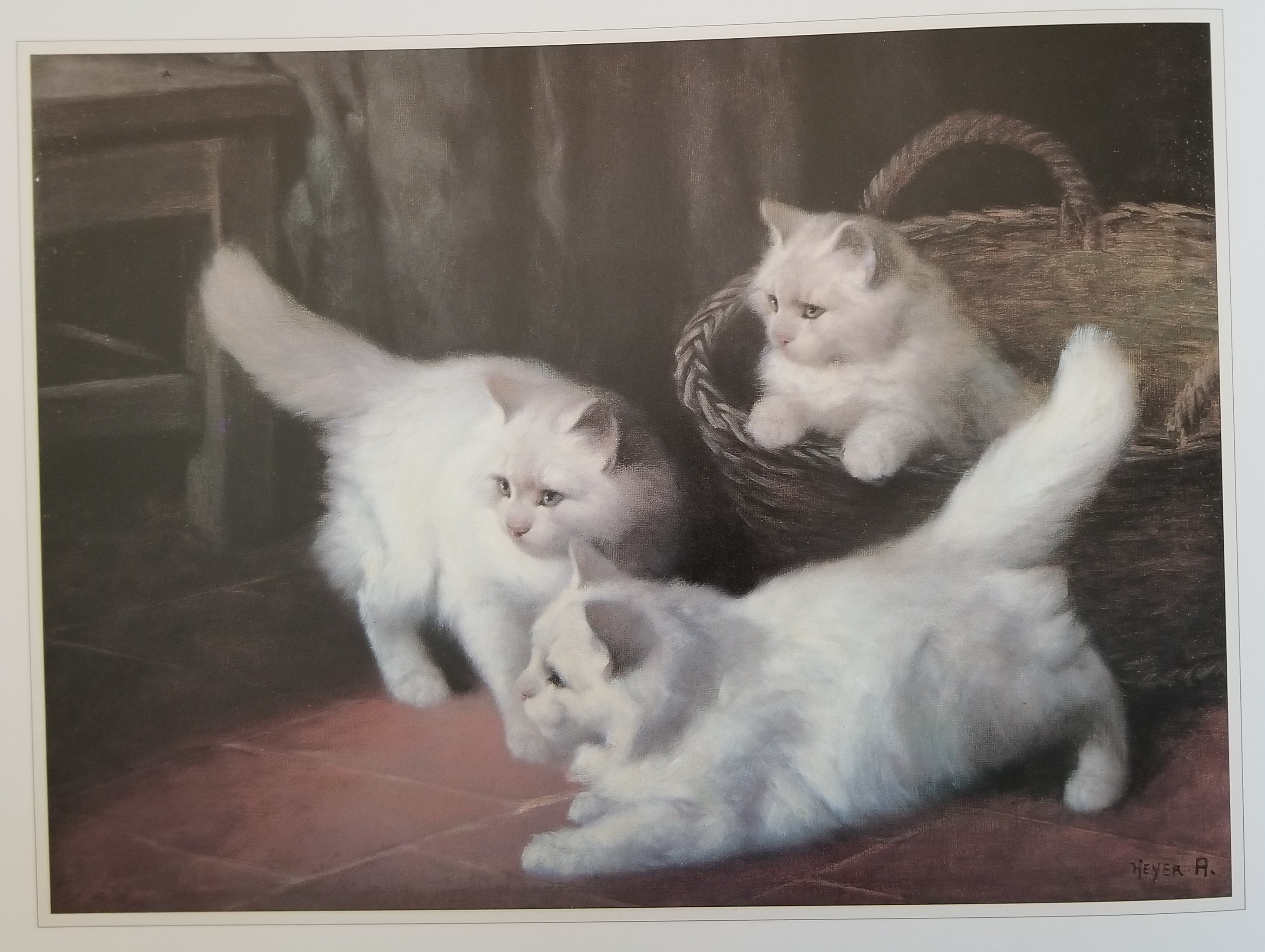 Famous Arthur Heyer Cat Print three White Angora Kittens Fine Art ...