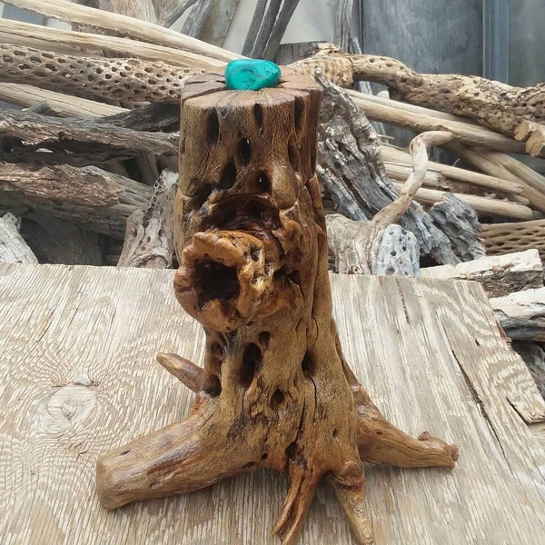 Cholla Wood - Etsy