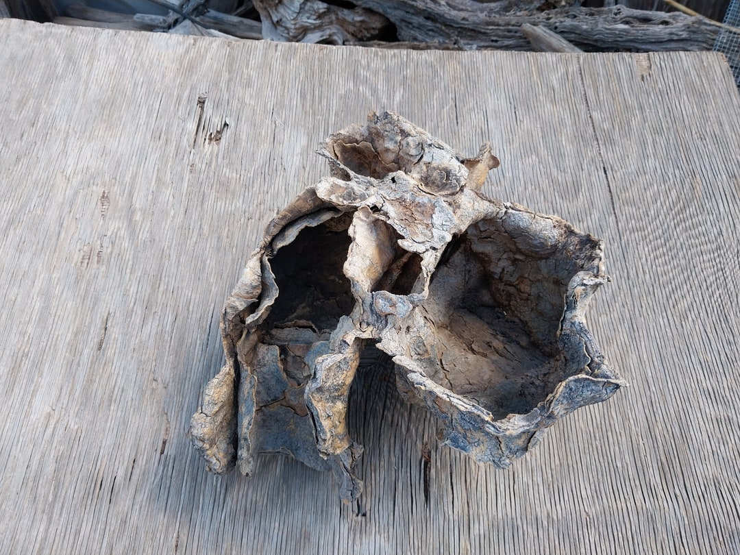 Saguaro Cactus Boot, - Etsy