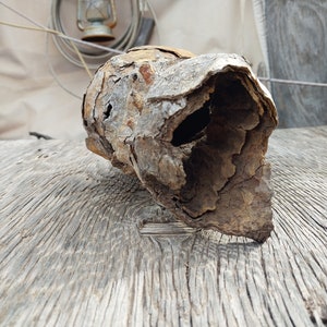 Saguaro Cactus Boot, - Etsy