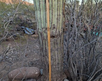 Saguaro Cactus Wood Walking Stick, - Etsy