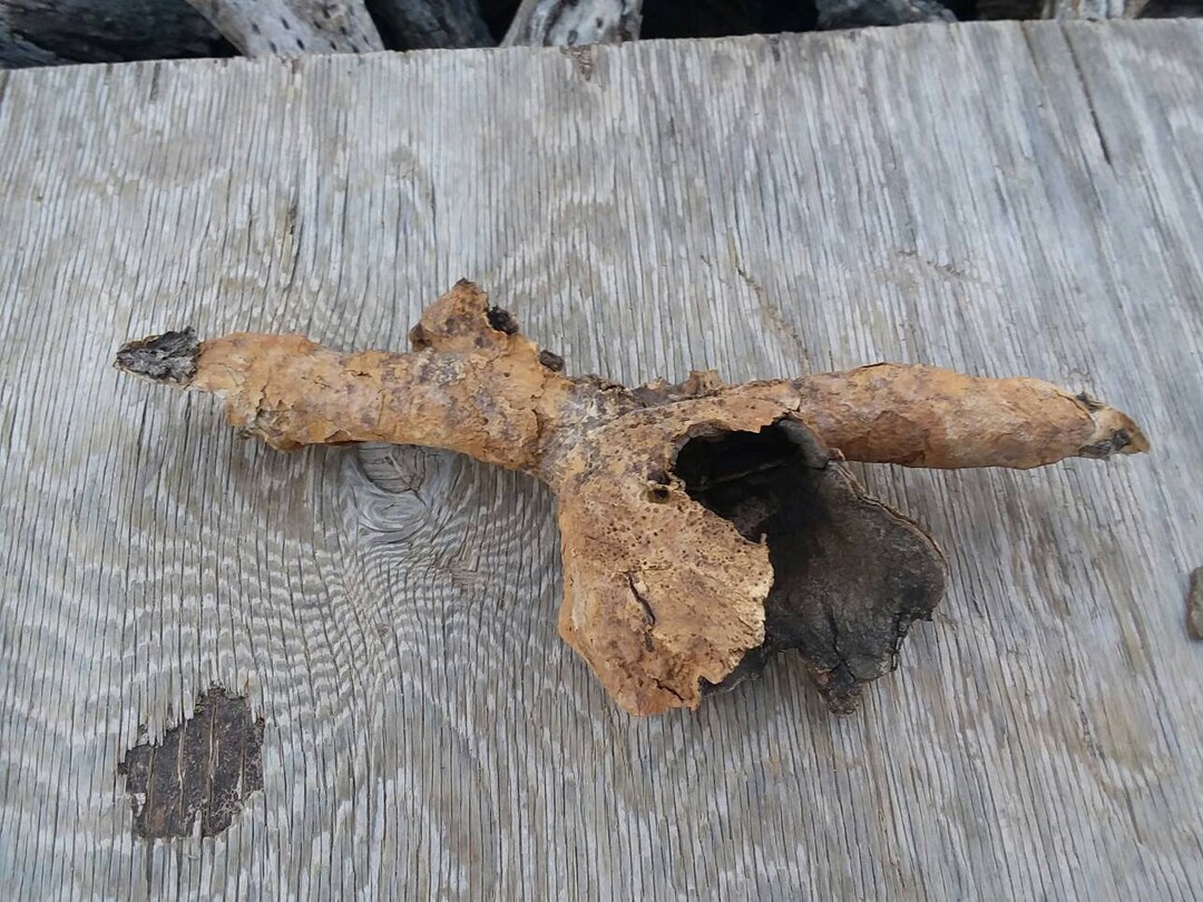 Saguaro Cactus Boot, - Etsy