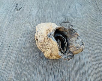 Saguaro Cactus Boot, - Etsy