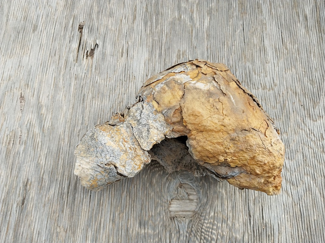 Saguaro Cactus Boot, - Etsy