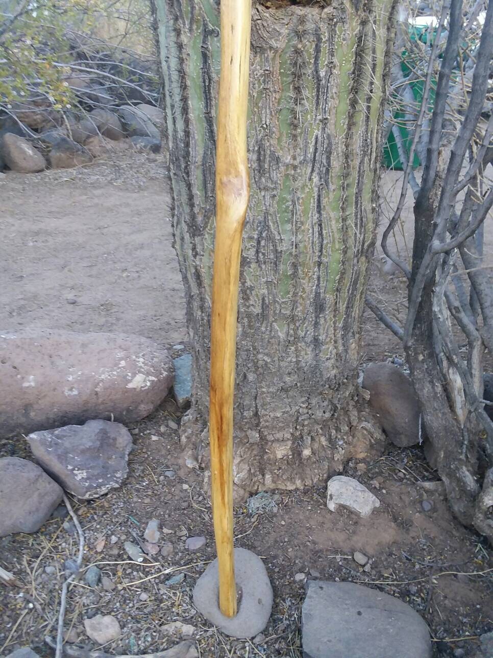 Neat Saguaro Cactus Wood Walking Stick - Etsy UK