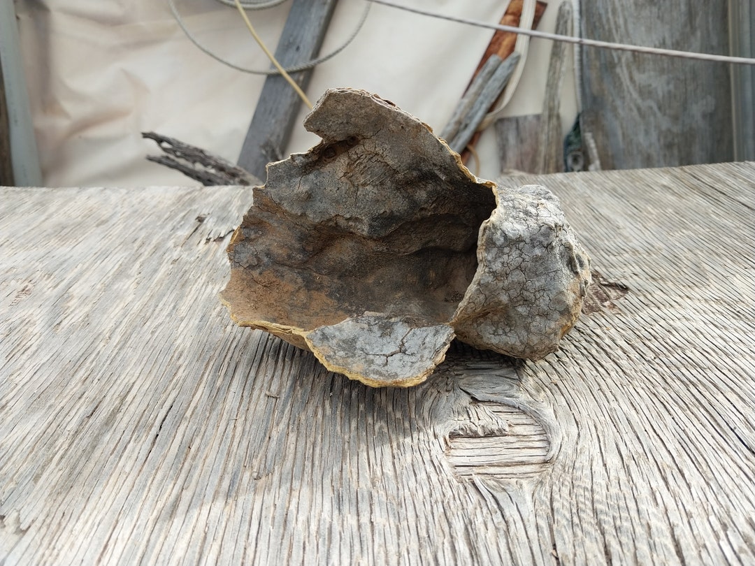 Saguaro Cactus Boot, - Etsy