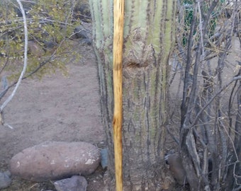 Cactus Walking Stick - Etsy