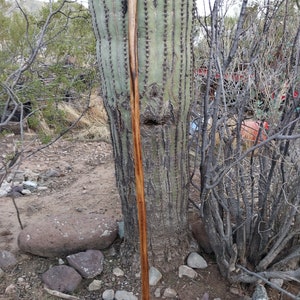 Saguaro Cactus Wood Walking Stick, - Etsy