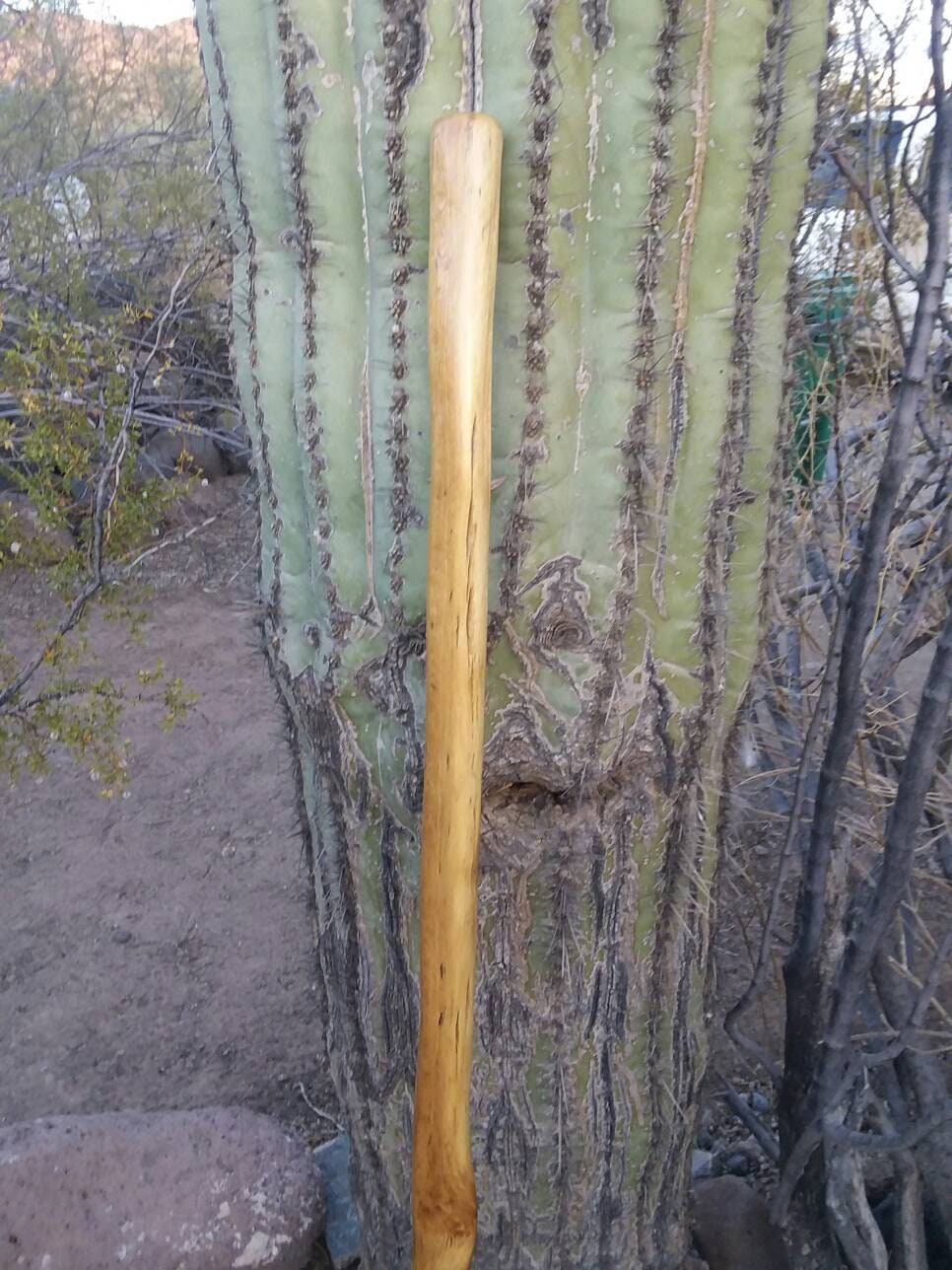 Neat Saguaro Cactus Wood Walking Stick - Etsy UK