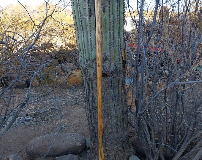 Saguaro Cactus Wood Walking Stick, - Etsy