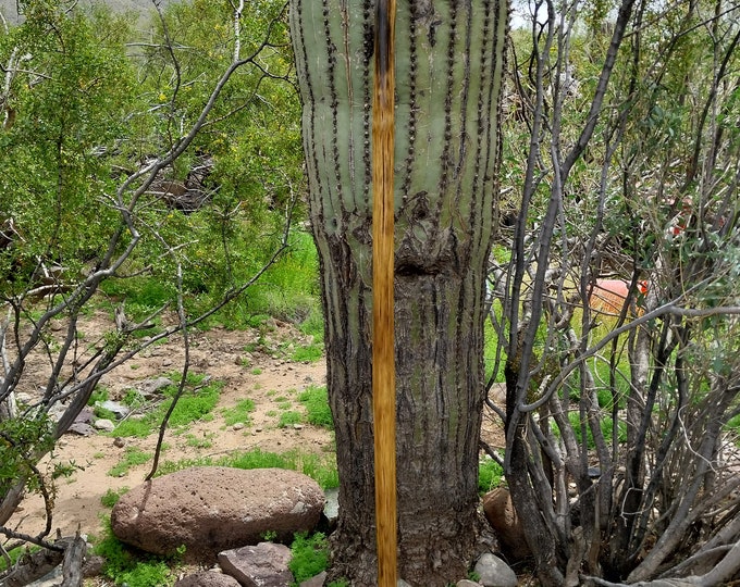 Saguaro Cactus Wood Walking Stick, - Etsy