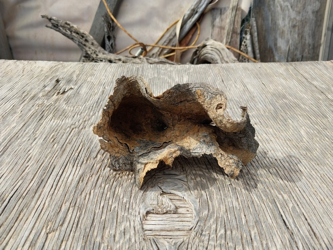 Saguaro Cactus Boot, - Etsy