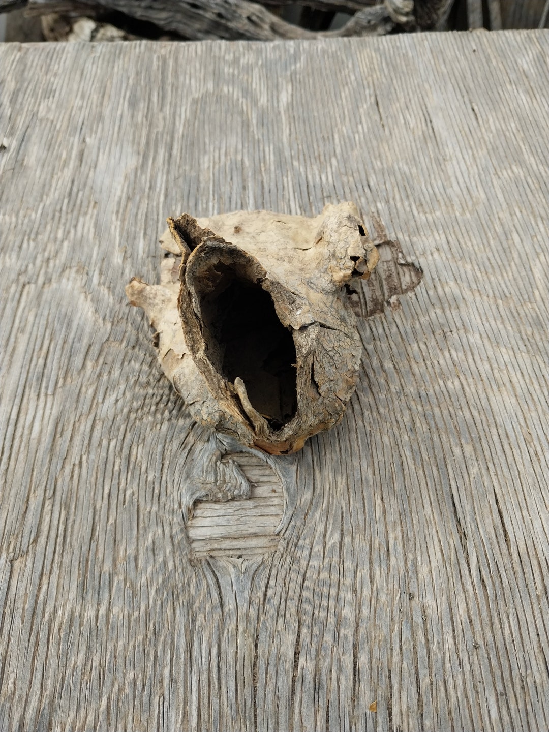 Saguaro Cactus Boot, - Etsy