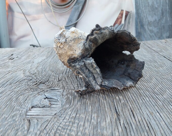 Saguaro Cactus Boot, - Etsy