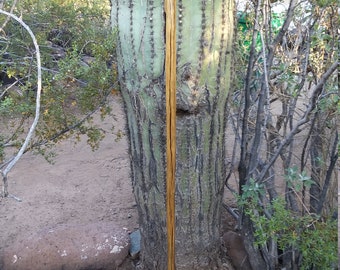 Walking Stick Cactus | Etsy