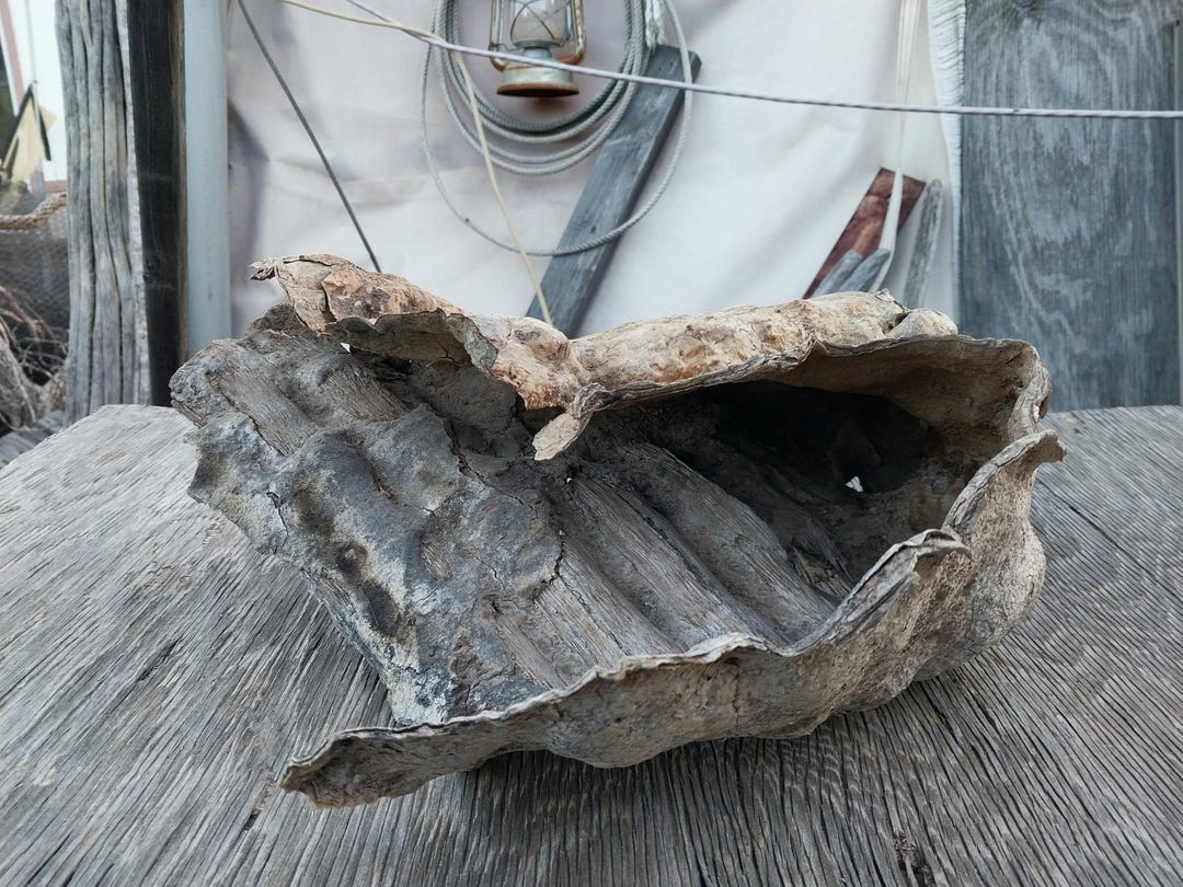 Large Saguaro Cactus Boot, - Etsy