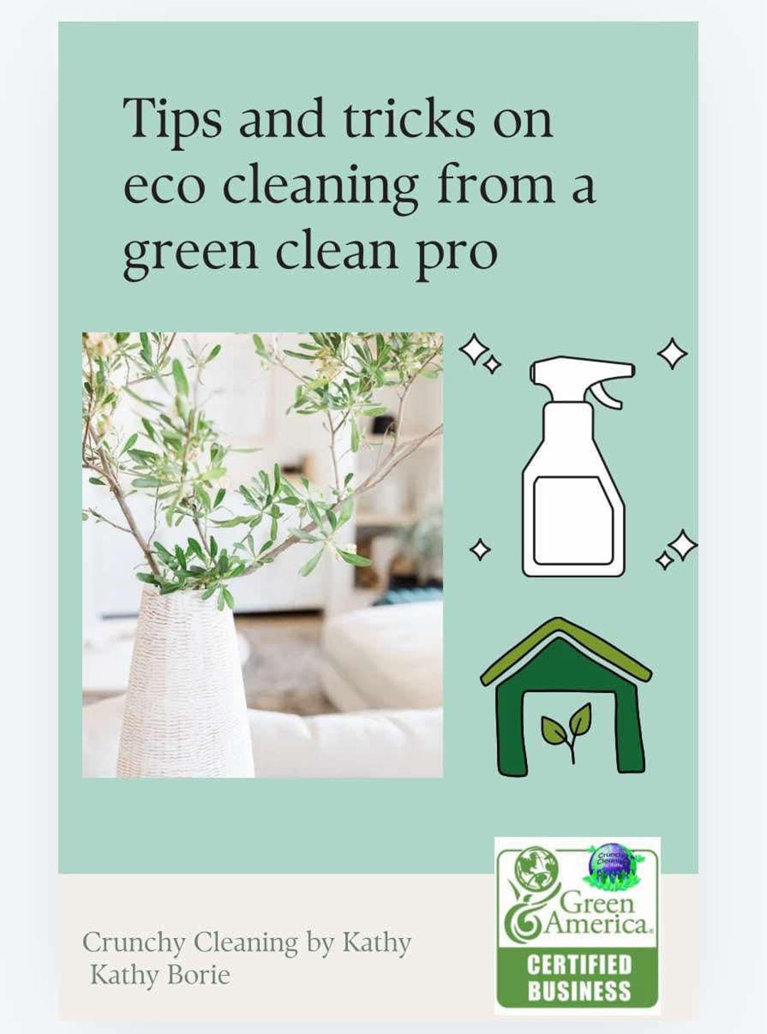 Tips & Tricks on Eco-cleaning From a Green Clean Pro - Etsy