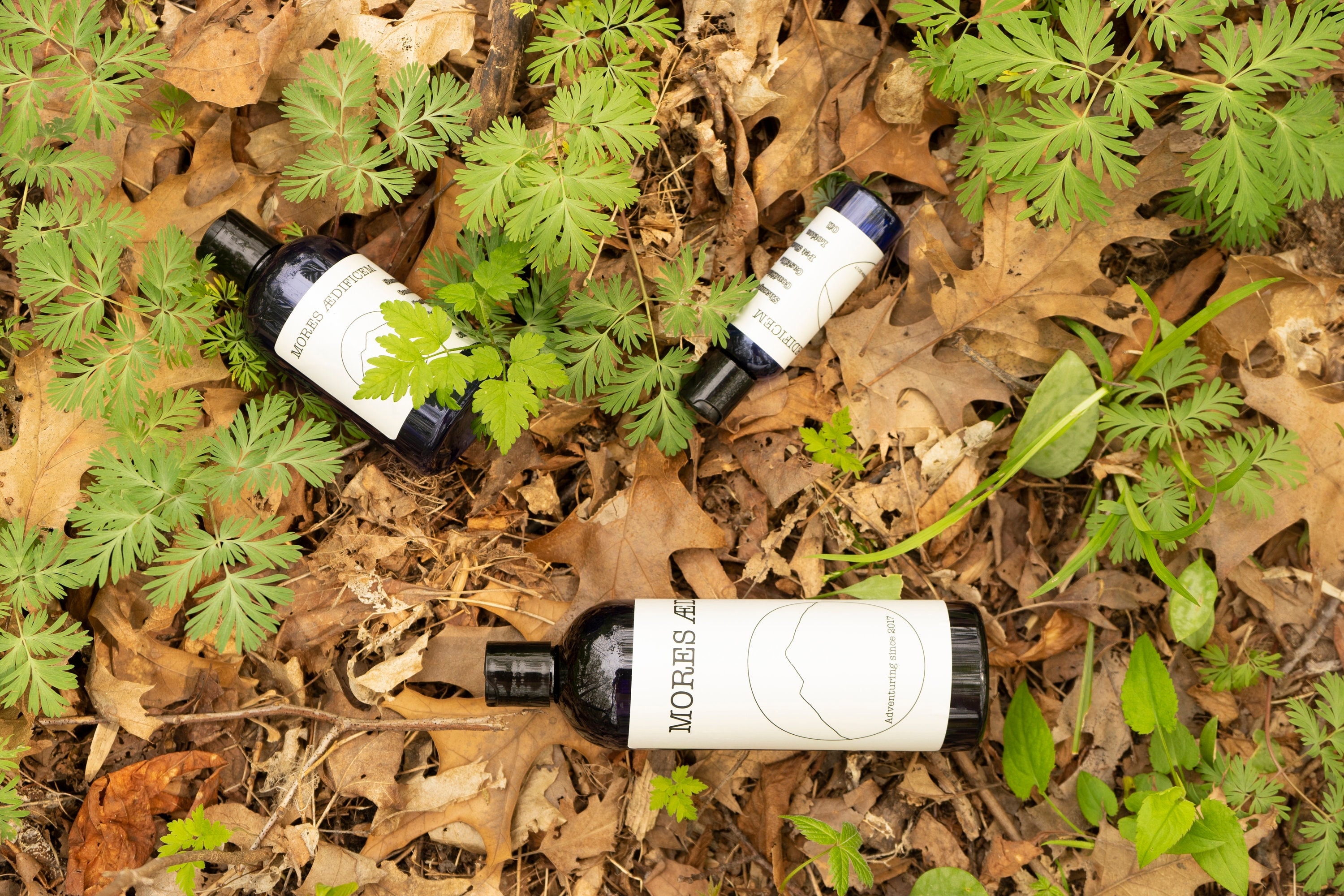 Liquid Shampoo - Etsy