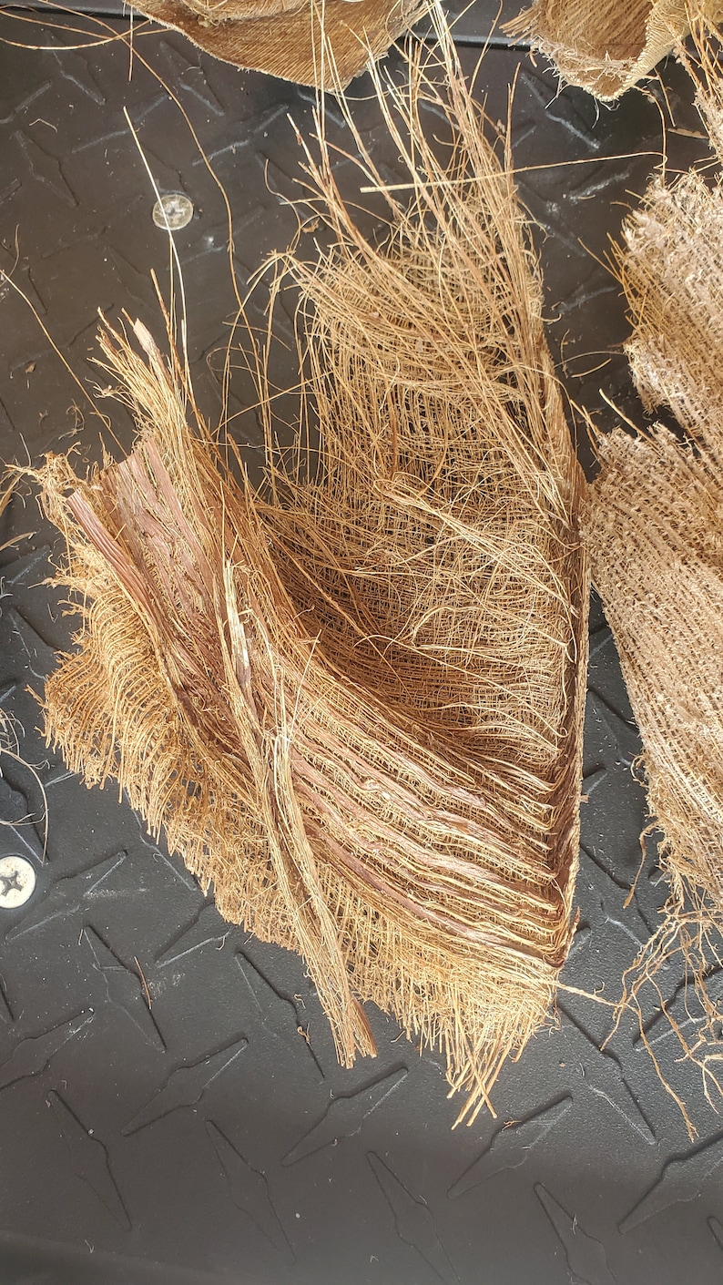 Natural Coconut Palm Tree Bark Fiber - Etsy