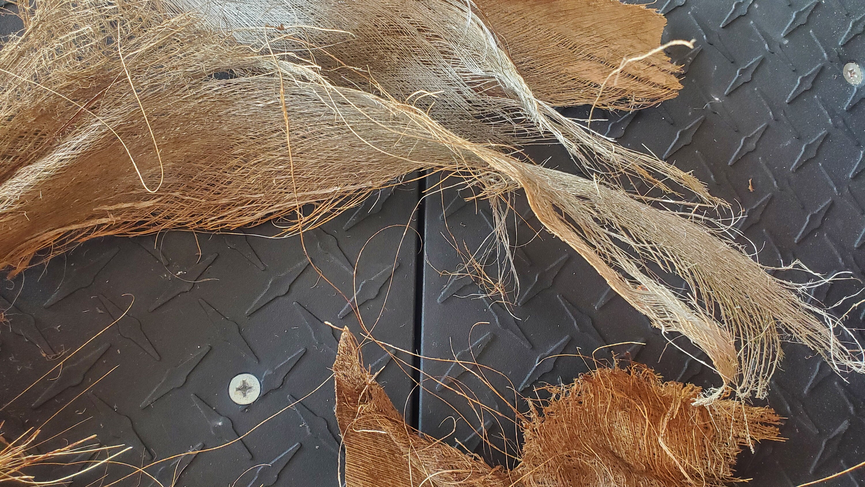 Natural Coconut Palm Tree Bark Fiber - Etsy