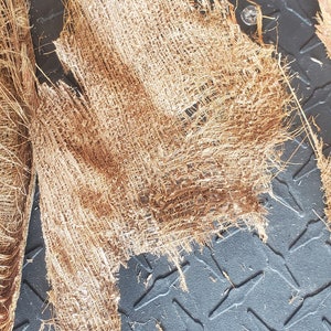 Natural Coconut Palm Tree Bark Fiber - Etsy