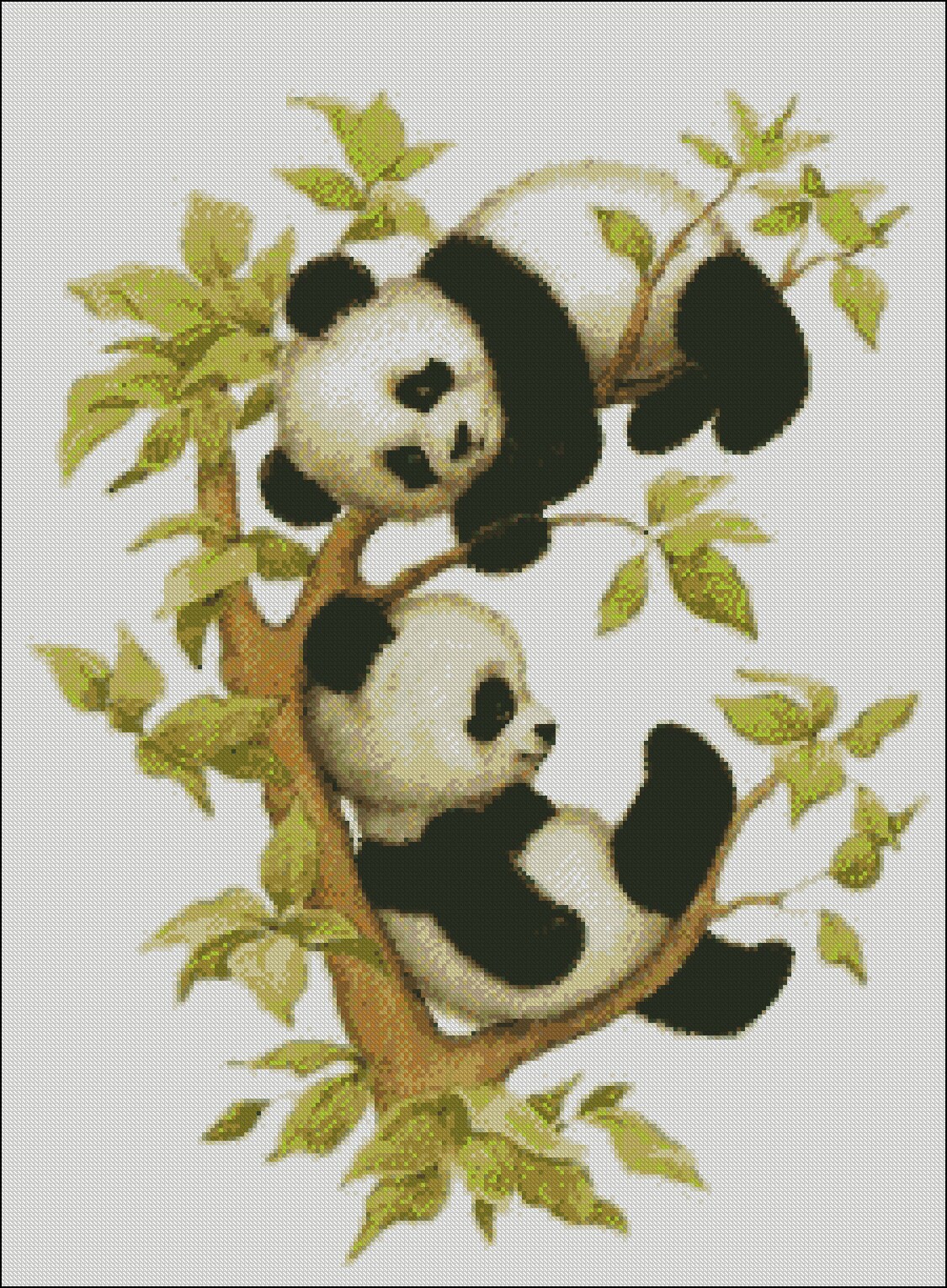 Panda Bears Pandas Pair Counted Cross Stitch Pattern - Etsy