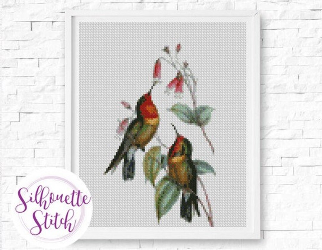 Hummingbirds Vintage Picture Cross Stitch Pattern-hand - Etsy