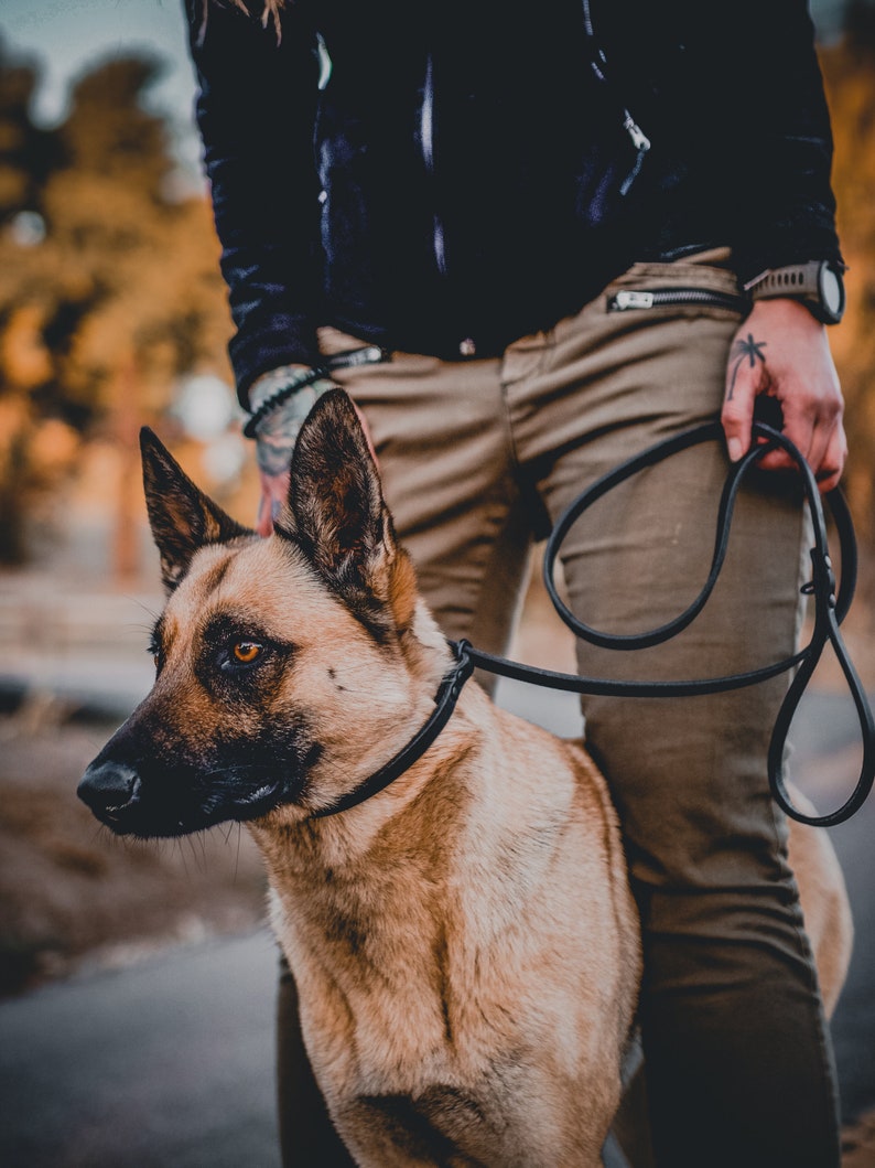 Black Latigo Leather Slip Leash: 1/2" Dog Lead - Etsy