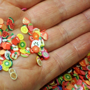 FRUIT FIMO SLICES Fimo Fruits Fimo Pieces Nail Fruit Charms Fruit Slime ...