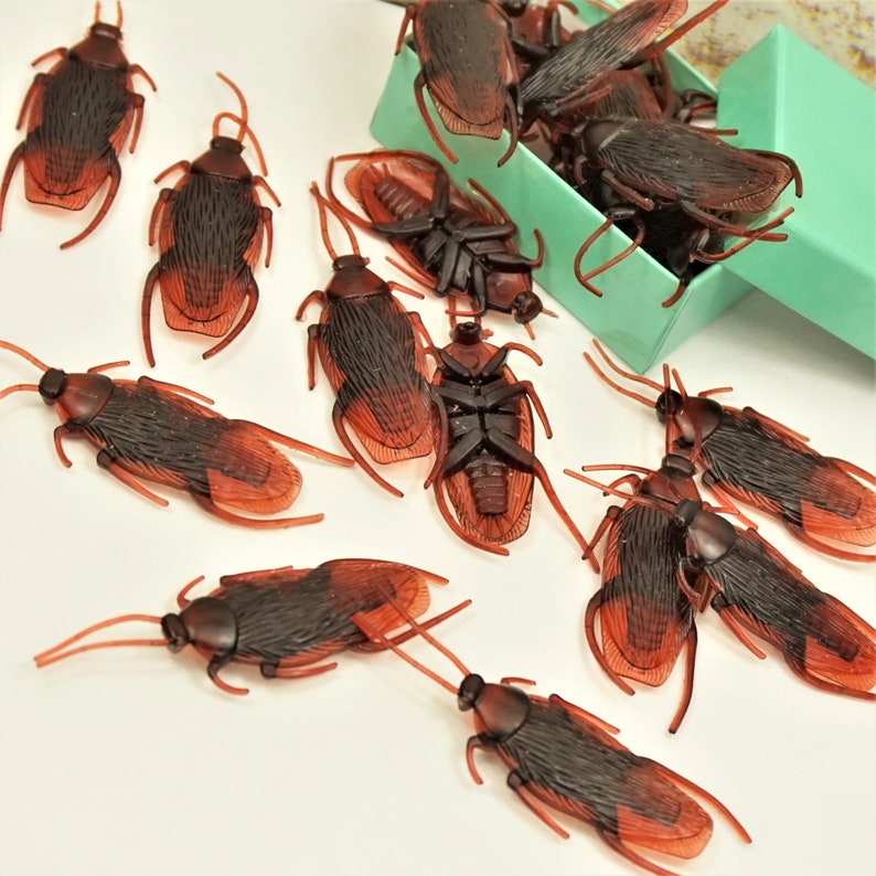 LIFELIKE HALLOWEEN COCKROACHES Real Size Cockroach Insects - Etsy