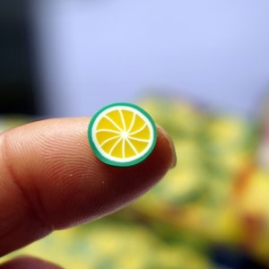 CITRUS FIMO PIECES Citrus Fruit Fimo Slices Lemon Orange Lime Polymer ...