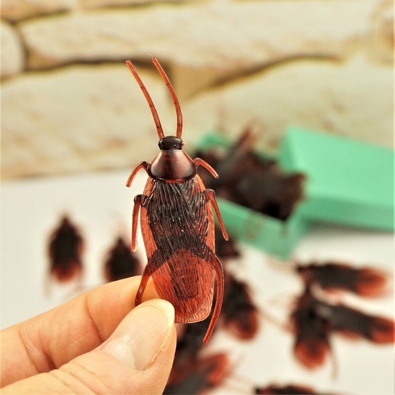 LIFELIKE HALLOWEEN COCKROACHES Real Size Cockroach Insects - Etsy