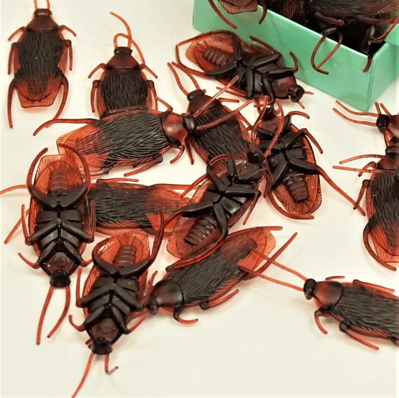 LIFELIKE HALLOWEEN COCKROACHES Real Size Cockroach Insects - Etsy
