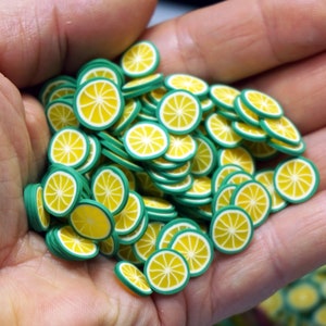 CITRUS FIMO PIECES Citrus Fruit Fimo Slices Lemon Orange Lime Polymer ...
