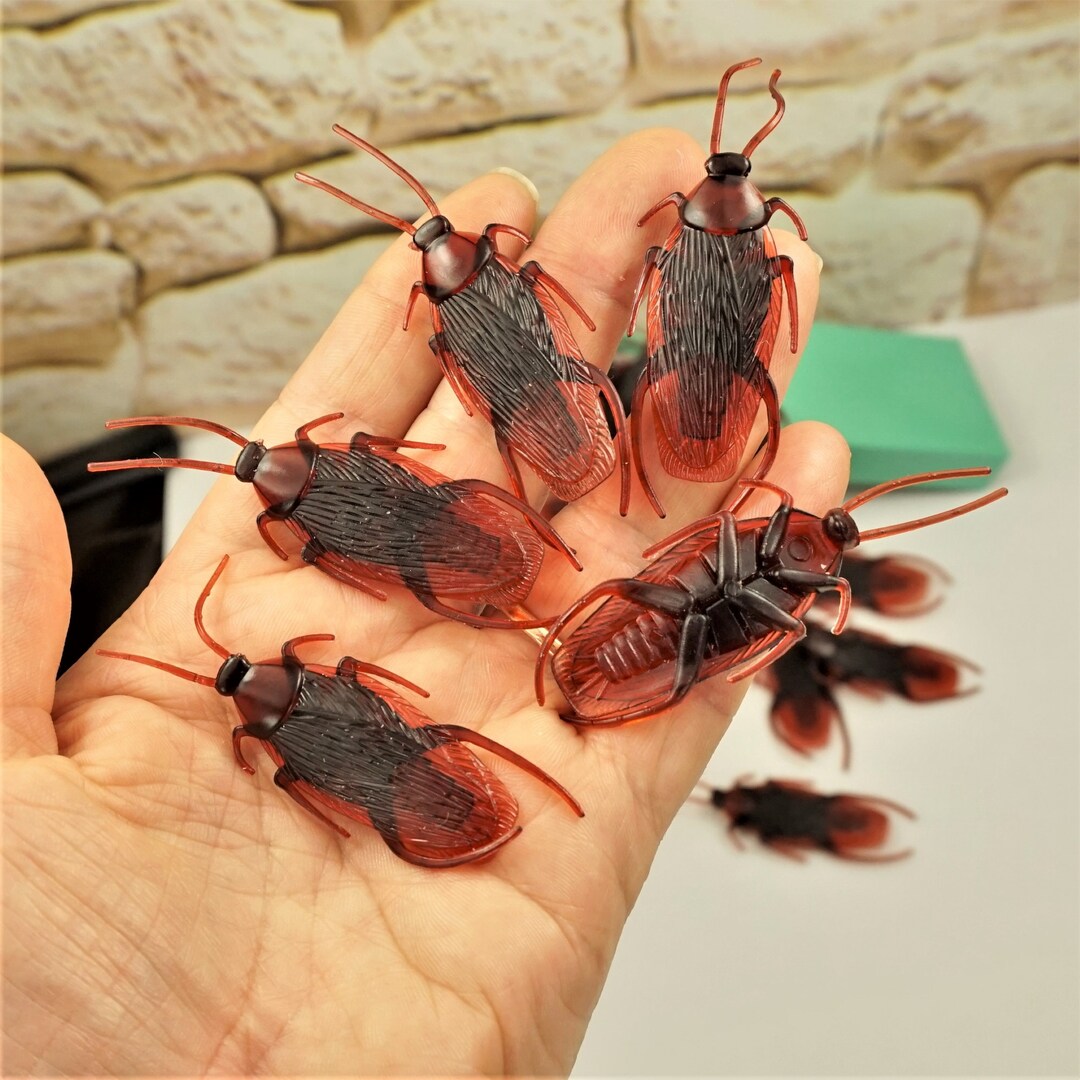 LIFELIKE HALLOWEEN COCKROACHES, Real Size Cockroach Insects for ...