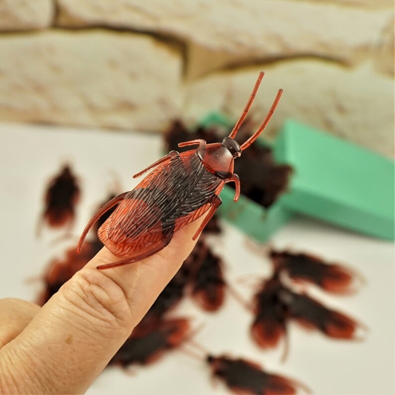 LIFELIKE HALLOWEEN COCKROACHES Real Size Cockroach Insects - Etsy