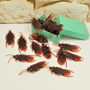 LIFELIKE HALLOWEEN COCKROACHES, Real Size Cockroach Insects for ...