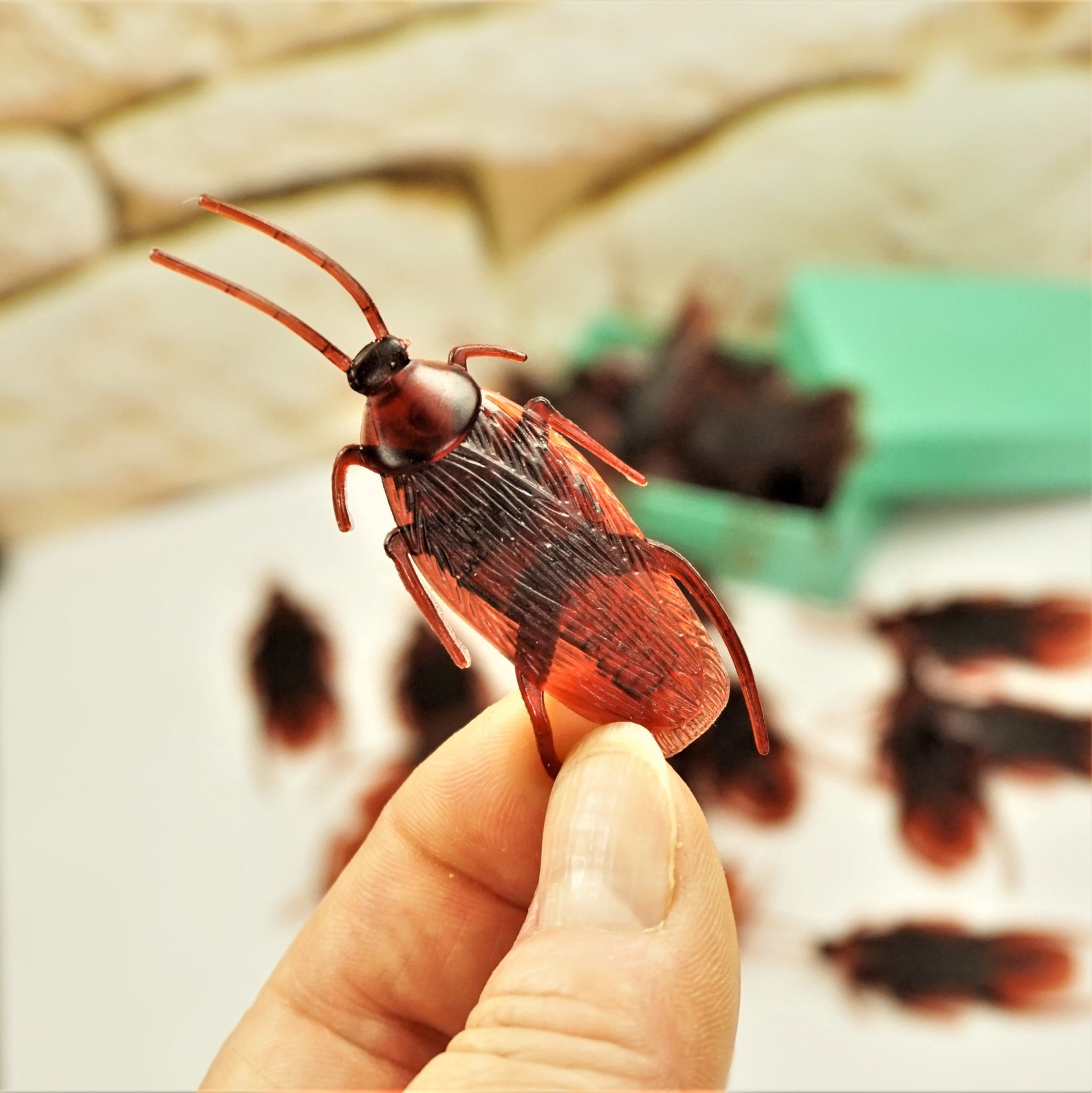 LIFELIKE HALLOWEEN COCKROACHES Real Size Cockroach Insects - Etsy