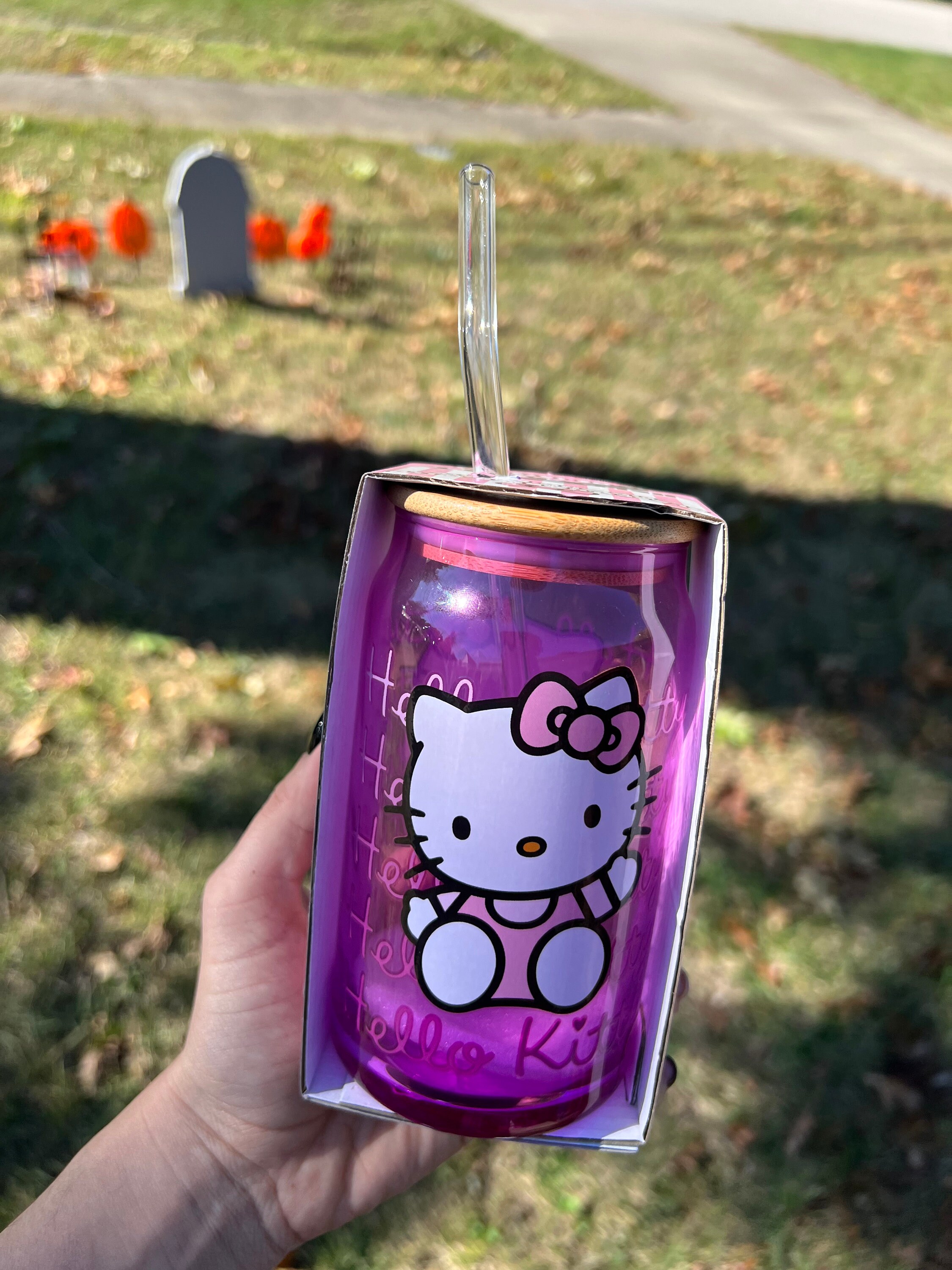 Hello Kitty Glass Tumbler - Etsy